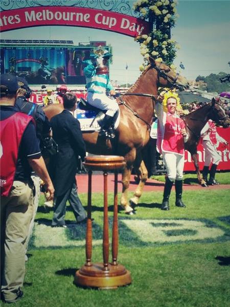 Melbourne Cup 2013 live: Fiorente gives Gai Waterhouse first Cup win ...