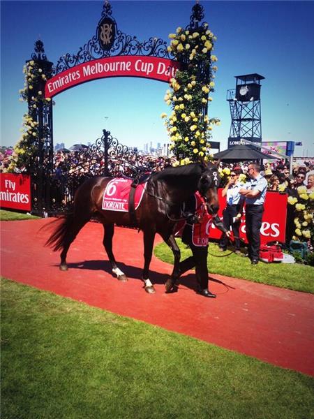 Melbourne Cup 2013 live: Fiorente gives Gai Waterhouse first Cup win ...